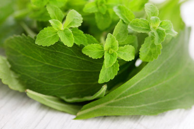 Why we use only stevia in our chocolate - Pure Love Chocolate